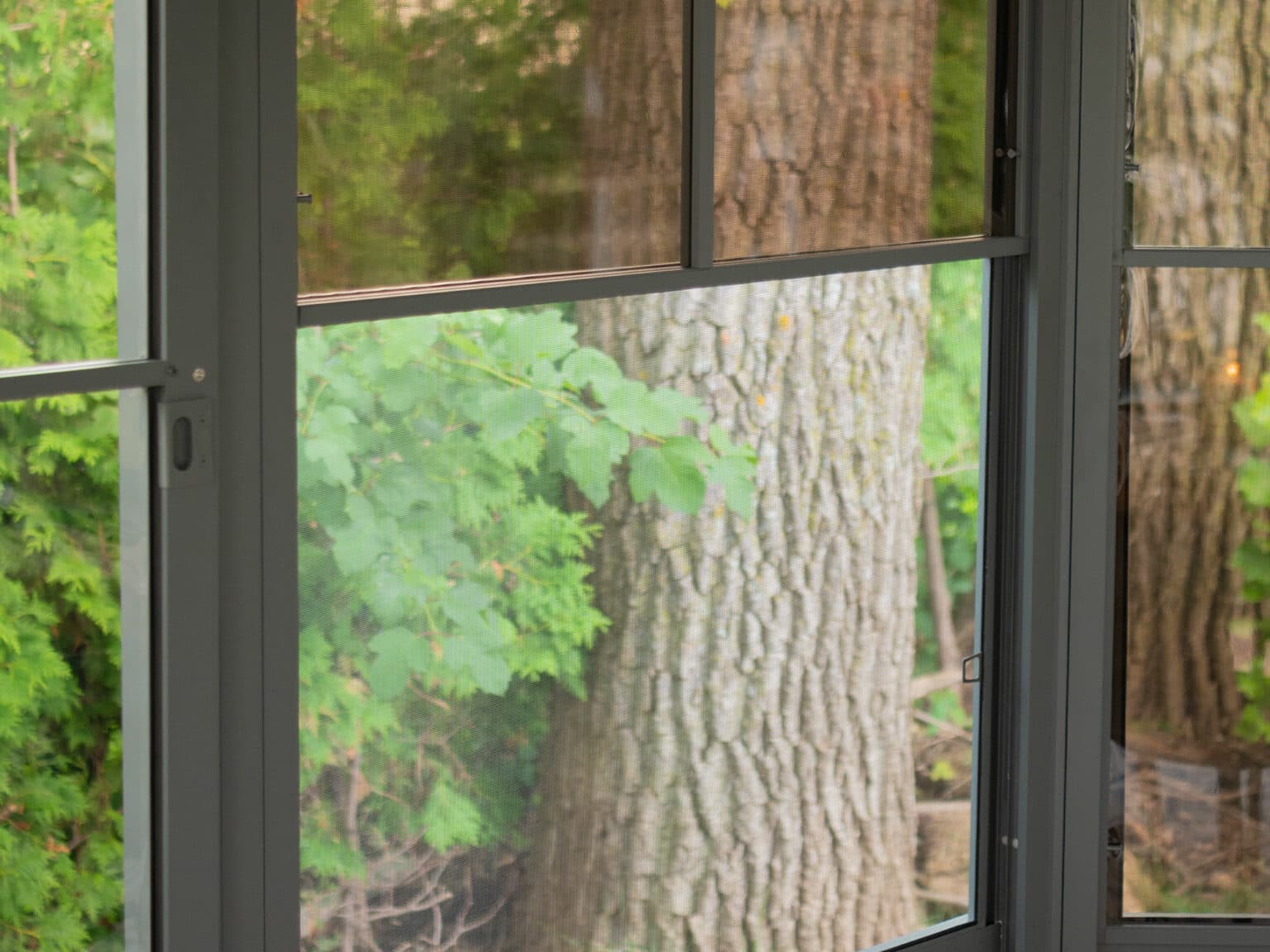 Florence 10x16 Grey Wall Mounted Solarium With Polycarbonate Roof ...